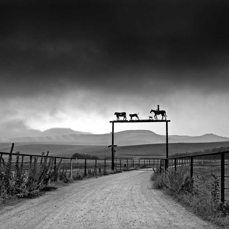 Western Gate by Tony Hertz - Susan Spiritus Gallery